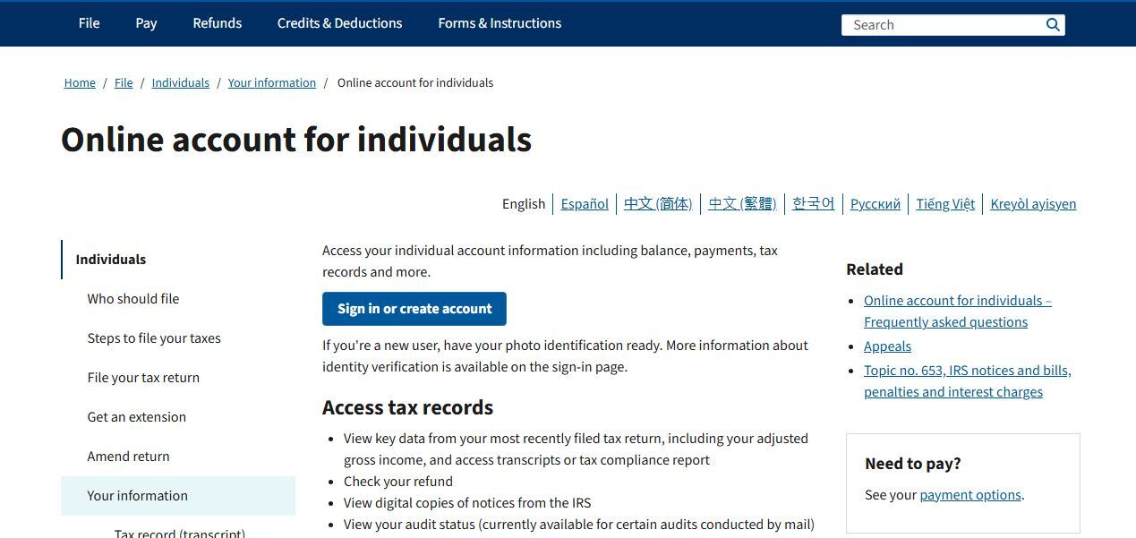 How can I get my IP PIN from the IRS Online?